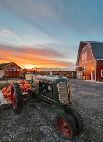 Plan Your Visit – Wickham Farms