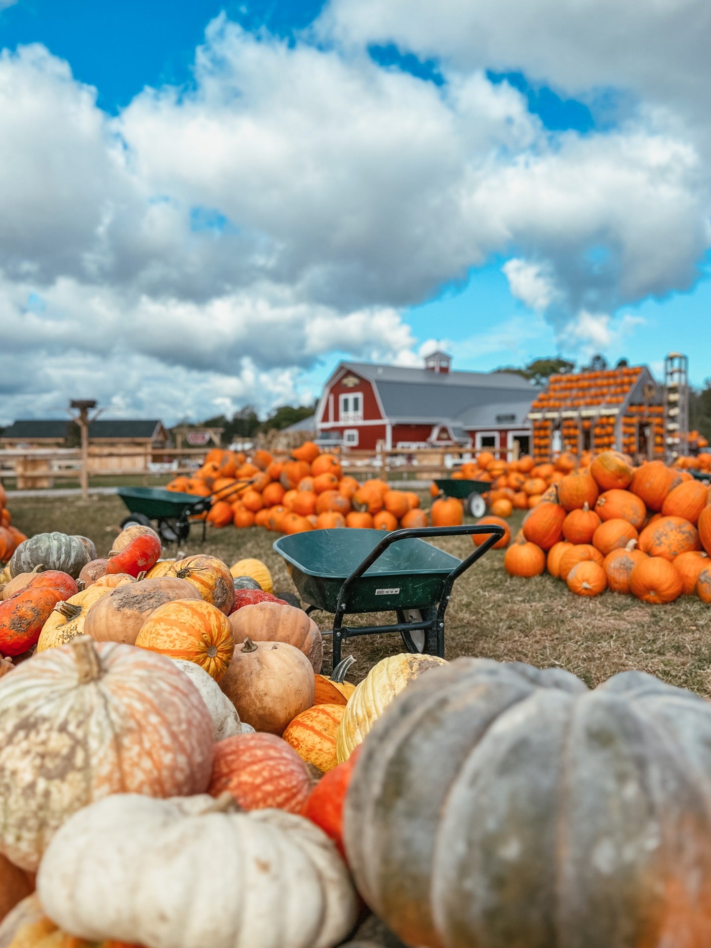 Field Trips - Fun Fall Educational Field Trips | Wickham Farms