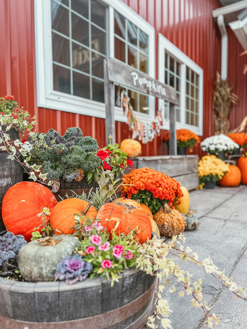 Field Trips - Fun Fall Educational Field Trips | Wickham Farms